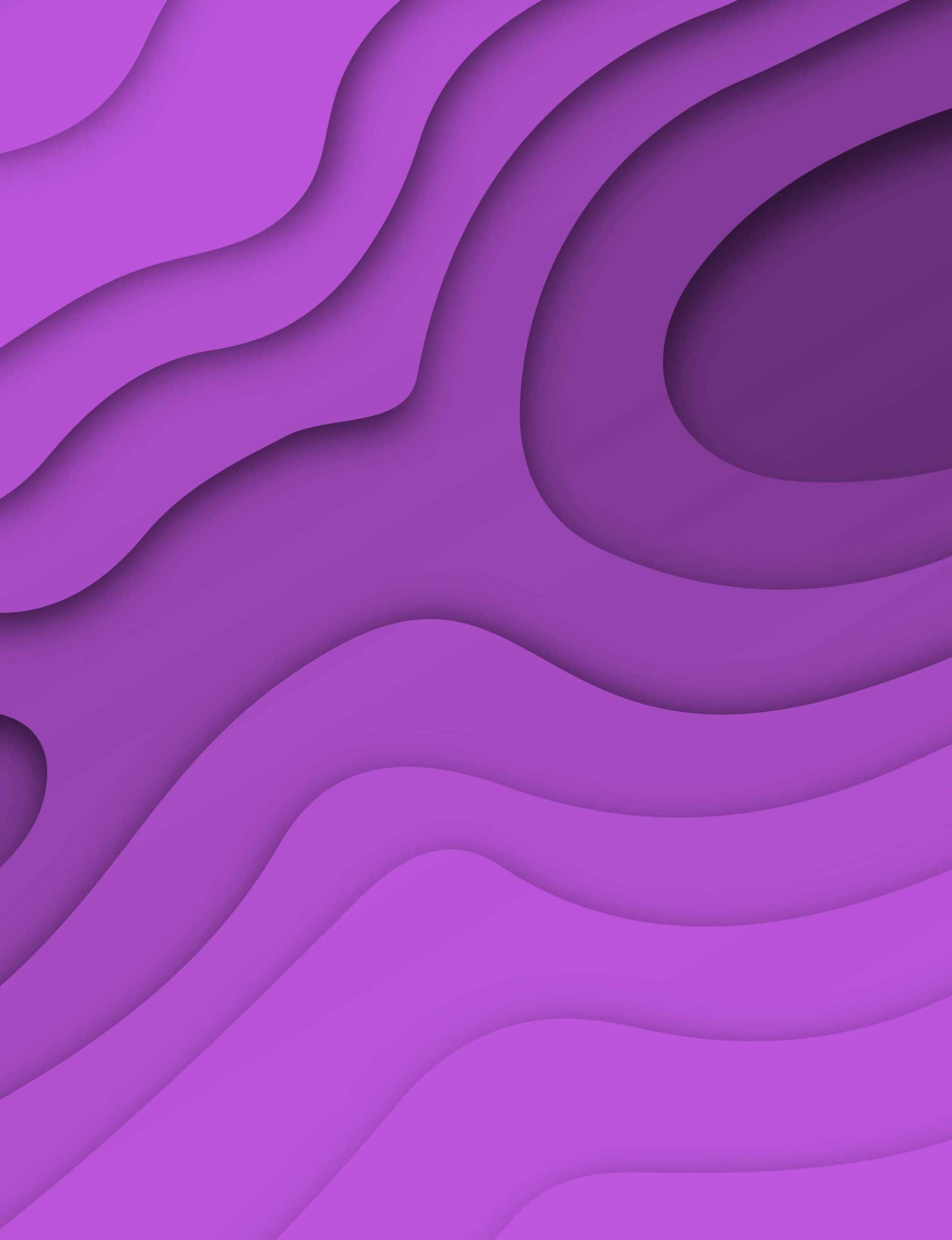 Privacy Policy | GRAX